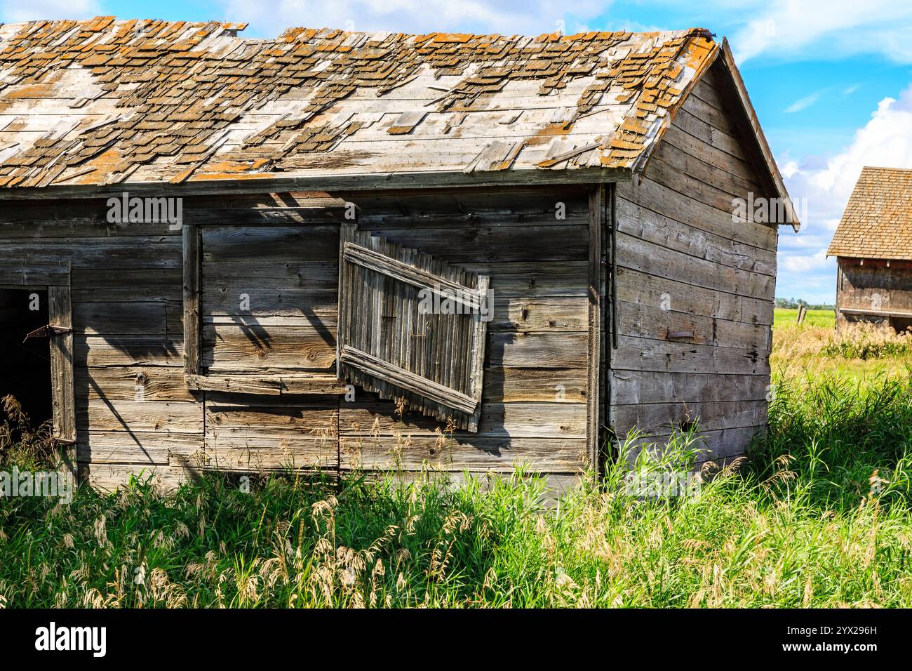 A dilapidated old barn with a broken window and a door. The barn is surrounded by grass and ...