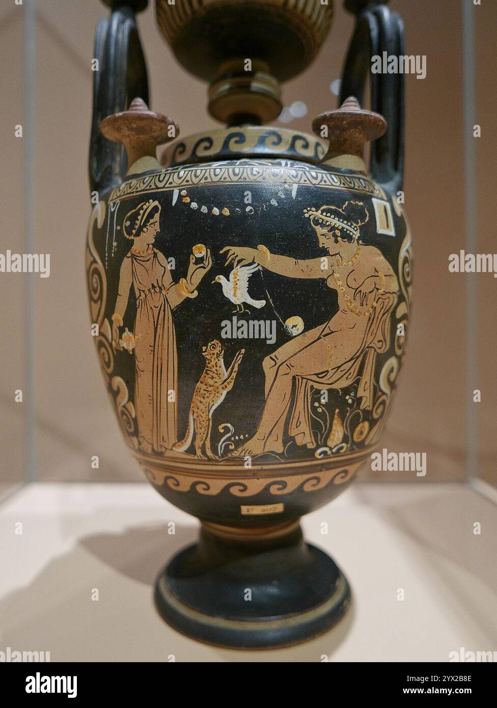 Cuerpo de lebes gámico Stock Photo - Alamy