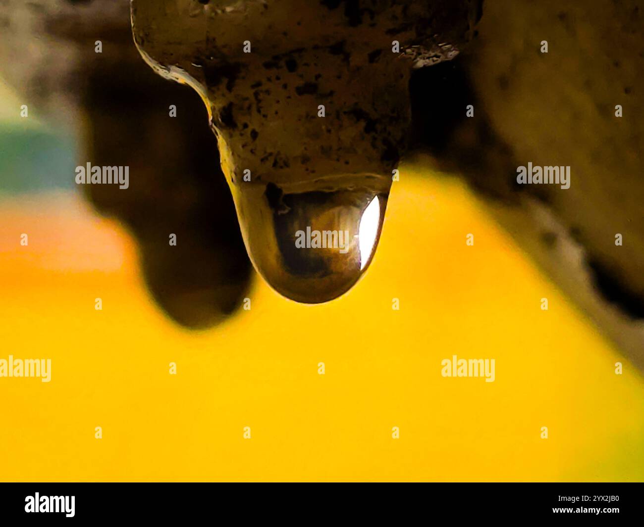 Hanging waterdrops hi-res stock photography and images - Alamy