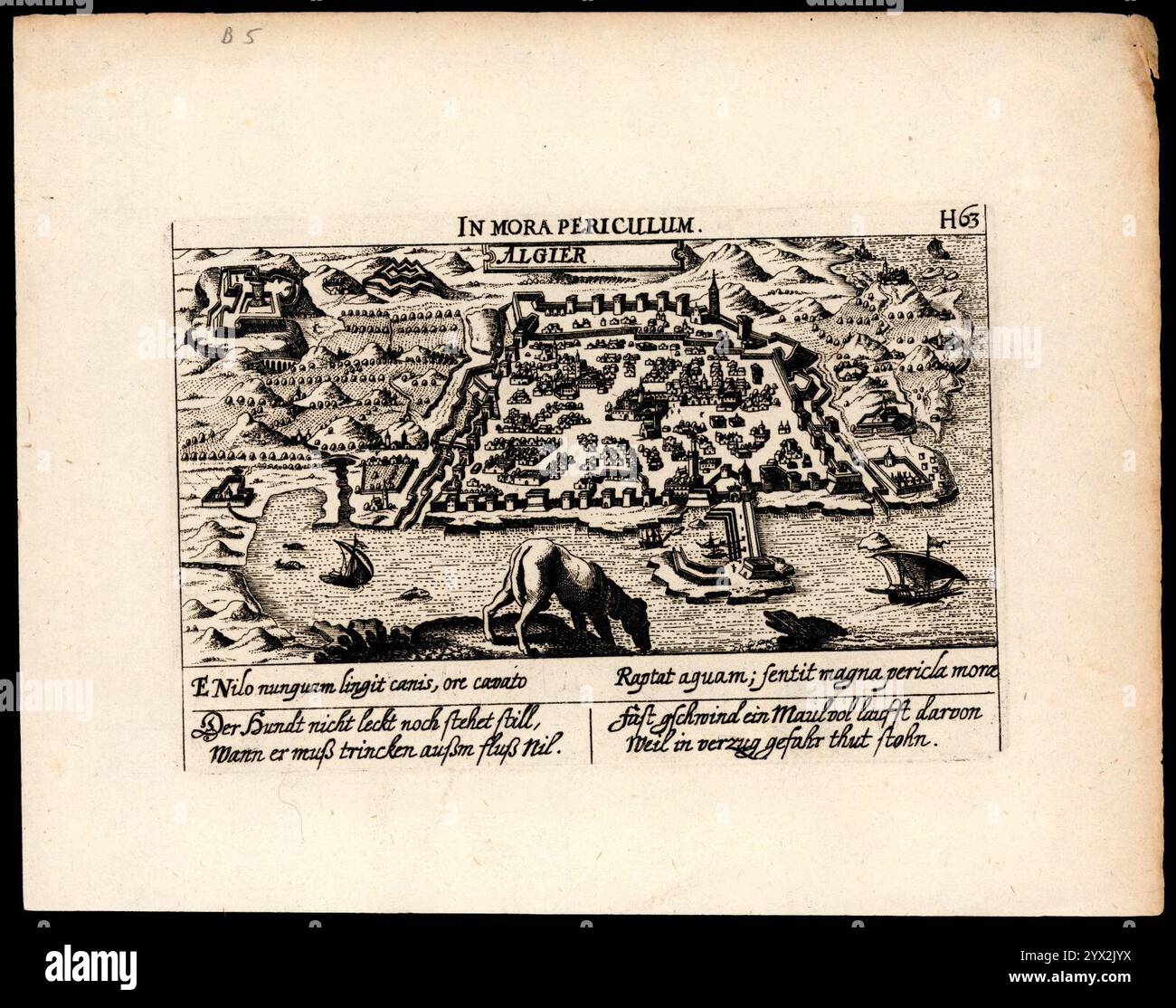 Daniel Meisner, Algier Stock Photo - Alamy