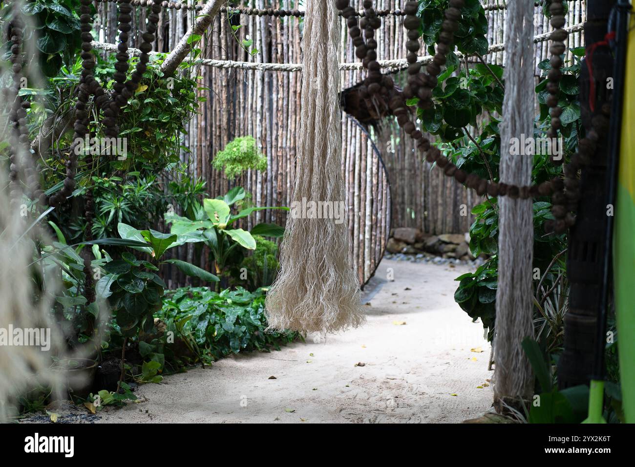 Footpath in jungle hi-res stock photography and images - Alamy