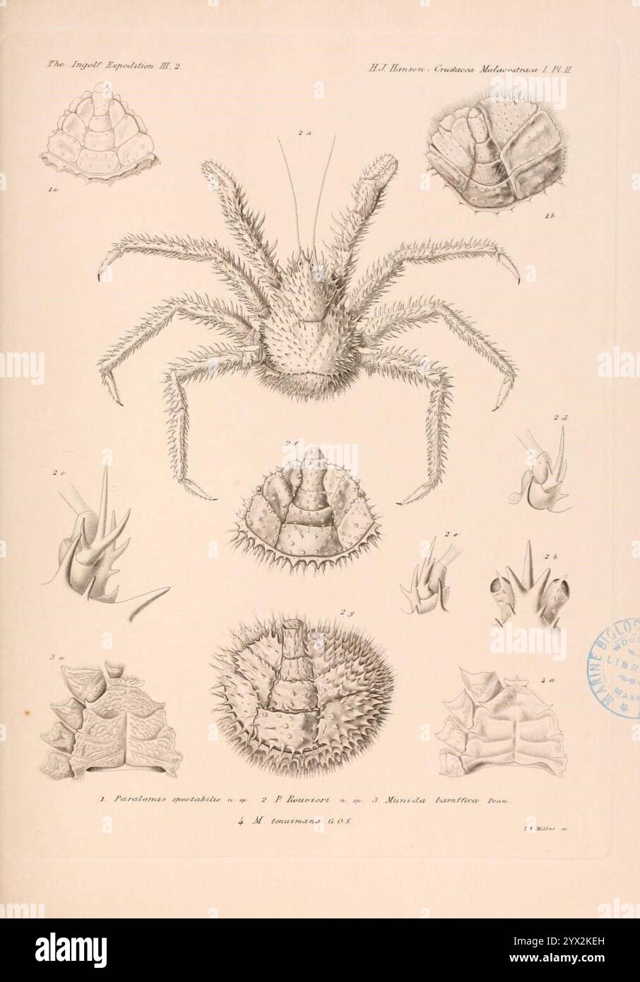 Expedition drawing hi-res stock photography and images - Alamy