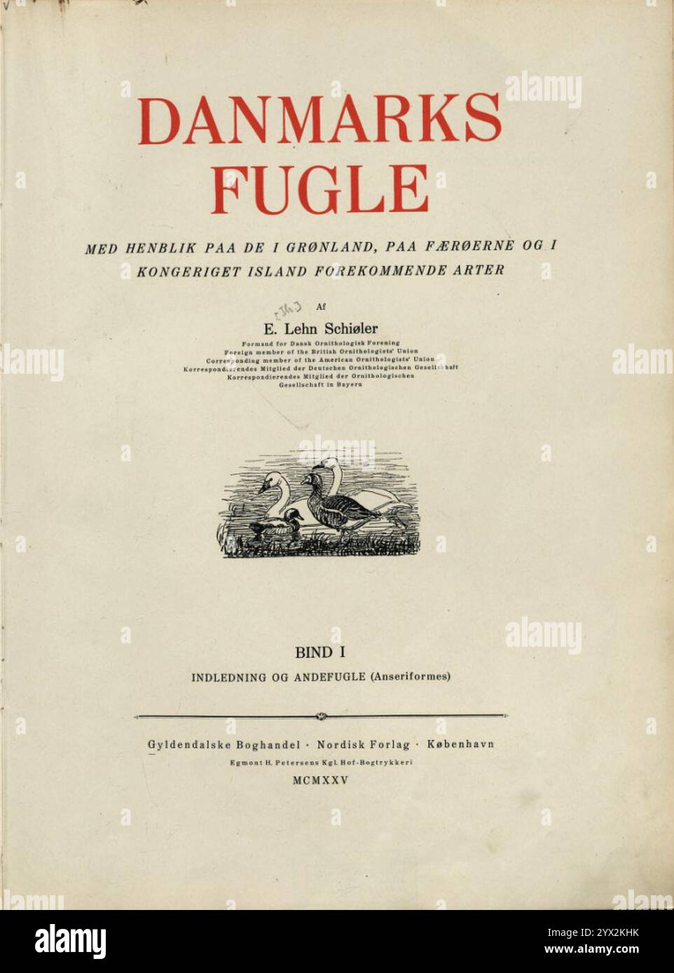 Danmarks fugle hi-res stock photography and images - Alamy