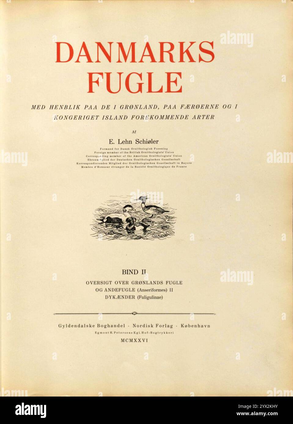 Danmarks Fugle Bind 2 Stock Photo - Alamy