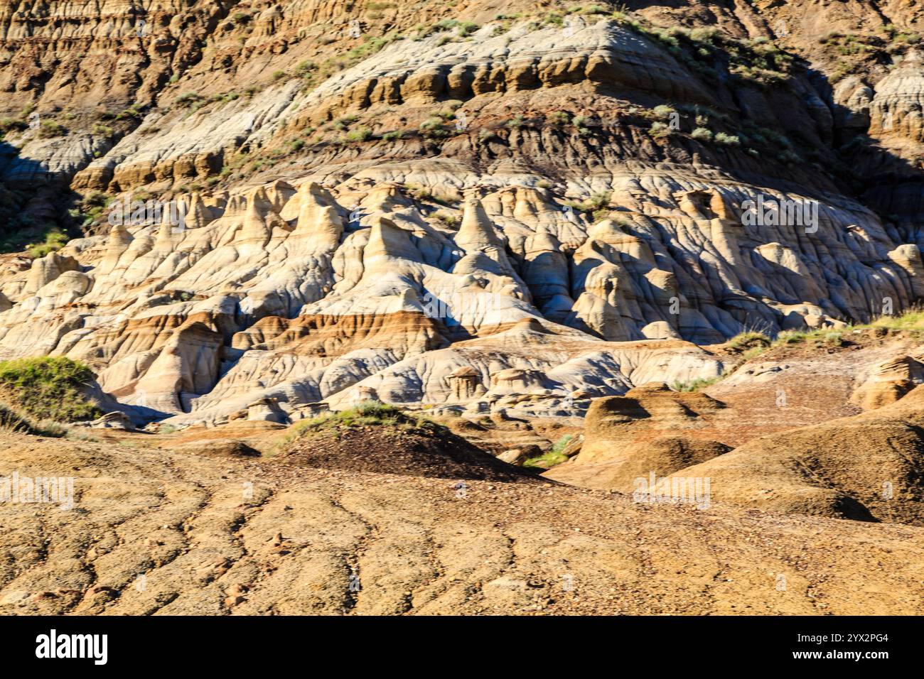 A rocky hillside with a few plants growing on it. The plants are sparse ...
