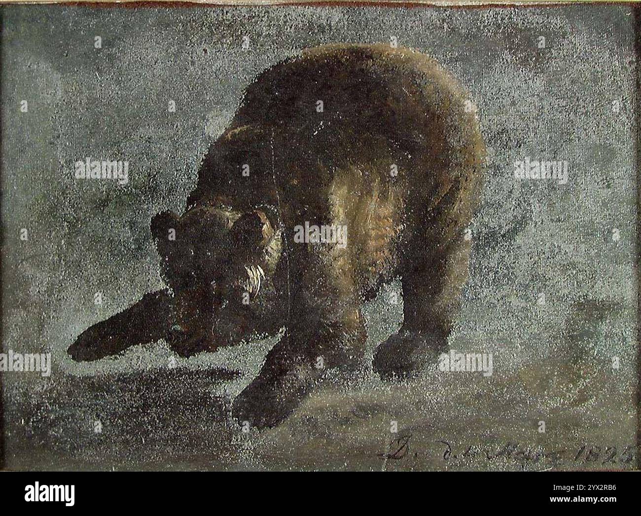 Johan Christian Dahl - Study of a Bear Stock Photo - Alamy