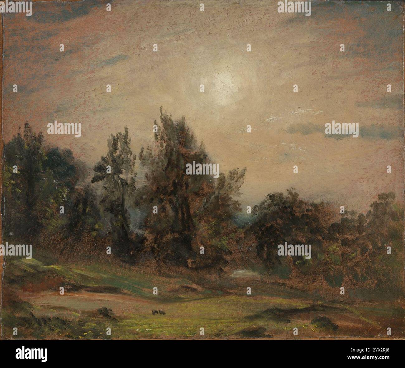 John Constable - Trees on Hampstead Heath Stock Photo - Alamy