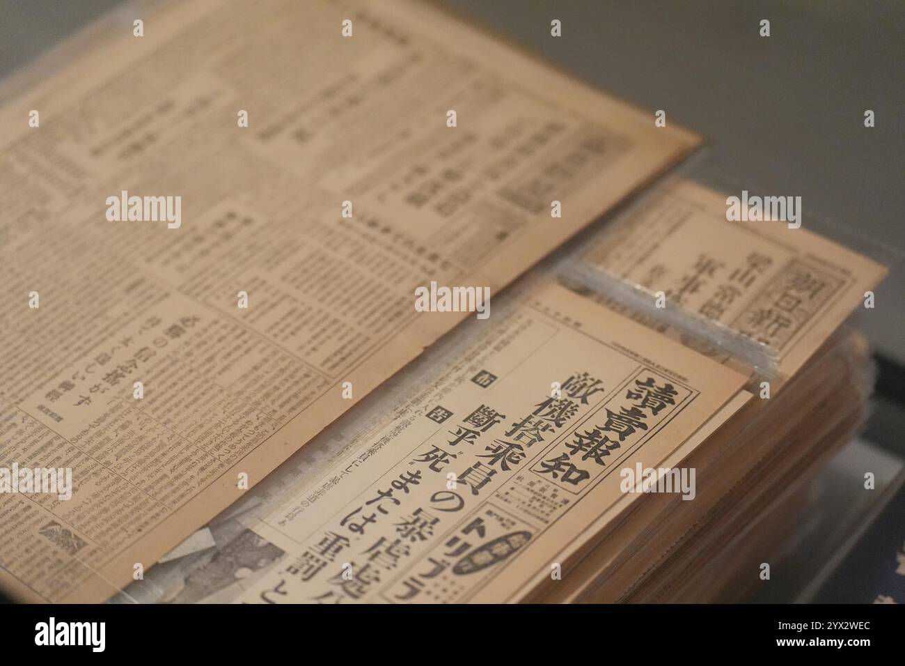 Harbin. 12th Dec, 2024. This photo taken on Dec. 12, 2024 shows an ...