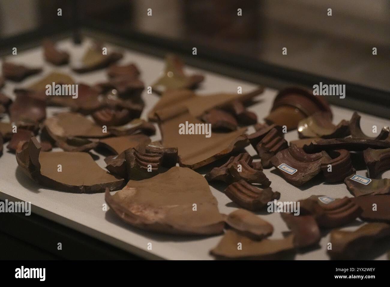 (241213) -- HARBIN, Dec. 13, 2024 (Xinhua) -- This photo taken on Dec ...