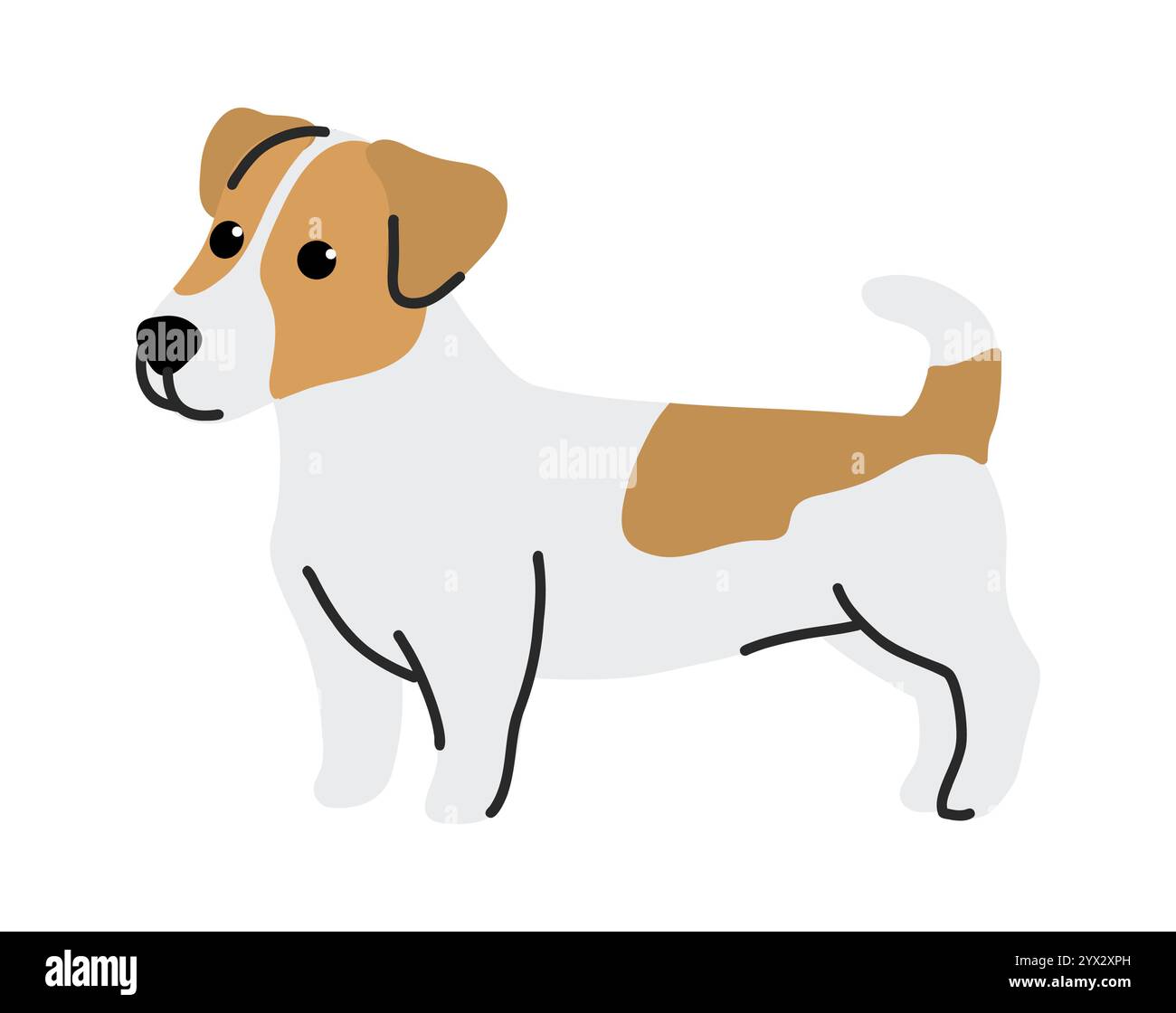 Vector illustration of a cute Jack Russell Terrier, perfect for pet ...