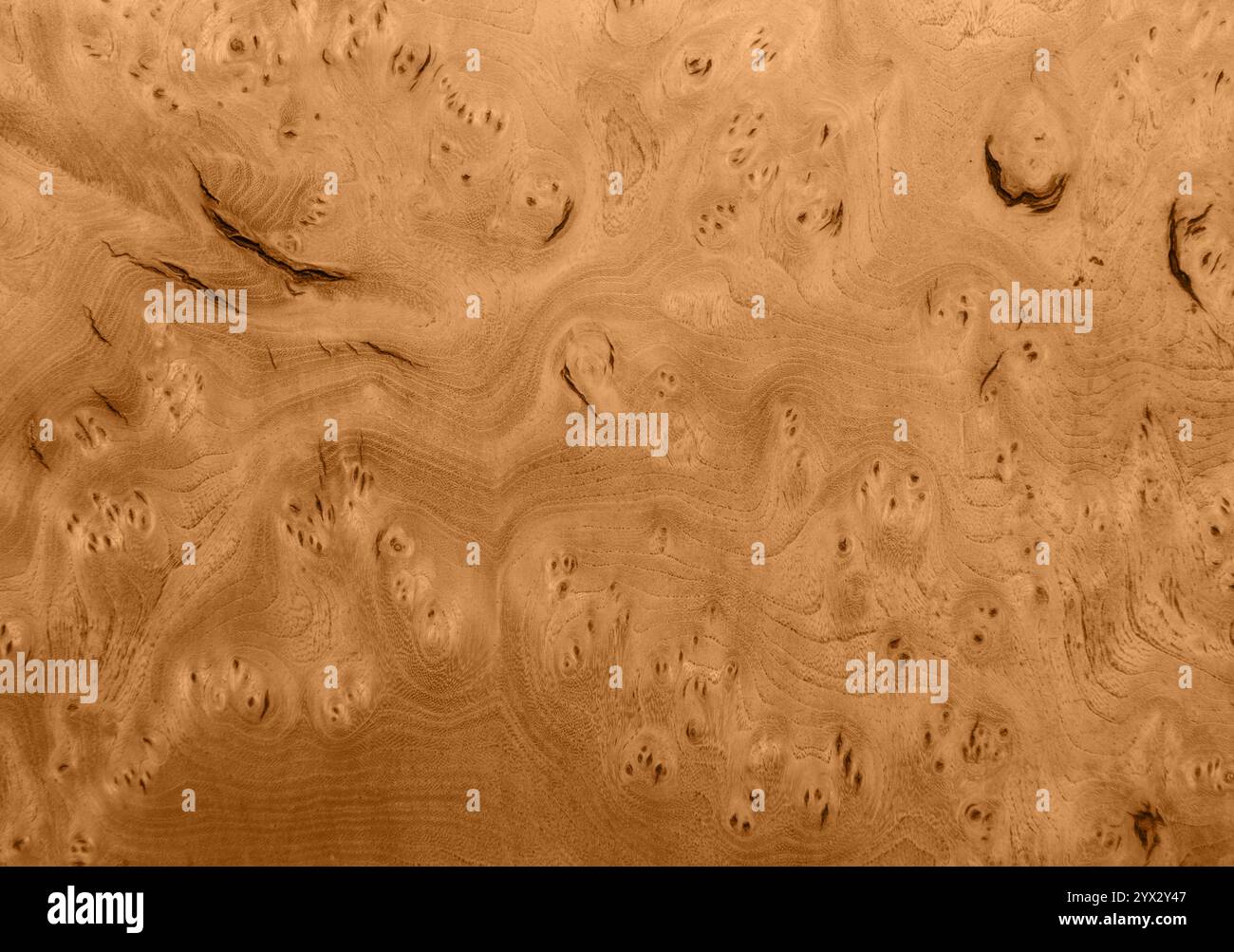 Maple texture background with birdseye Stock Photo - Alamy