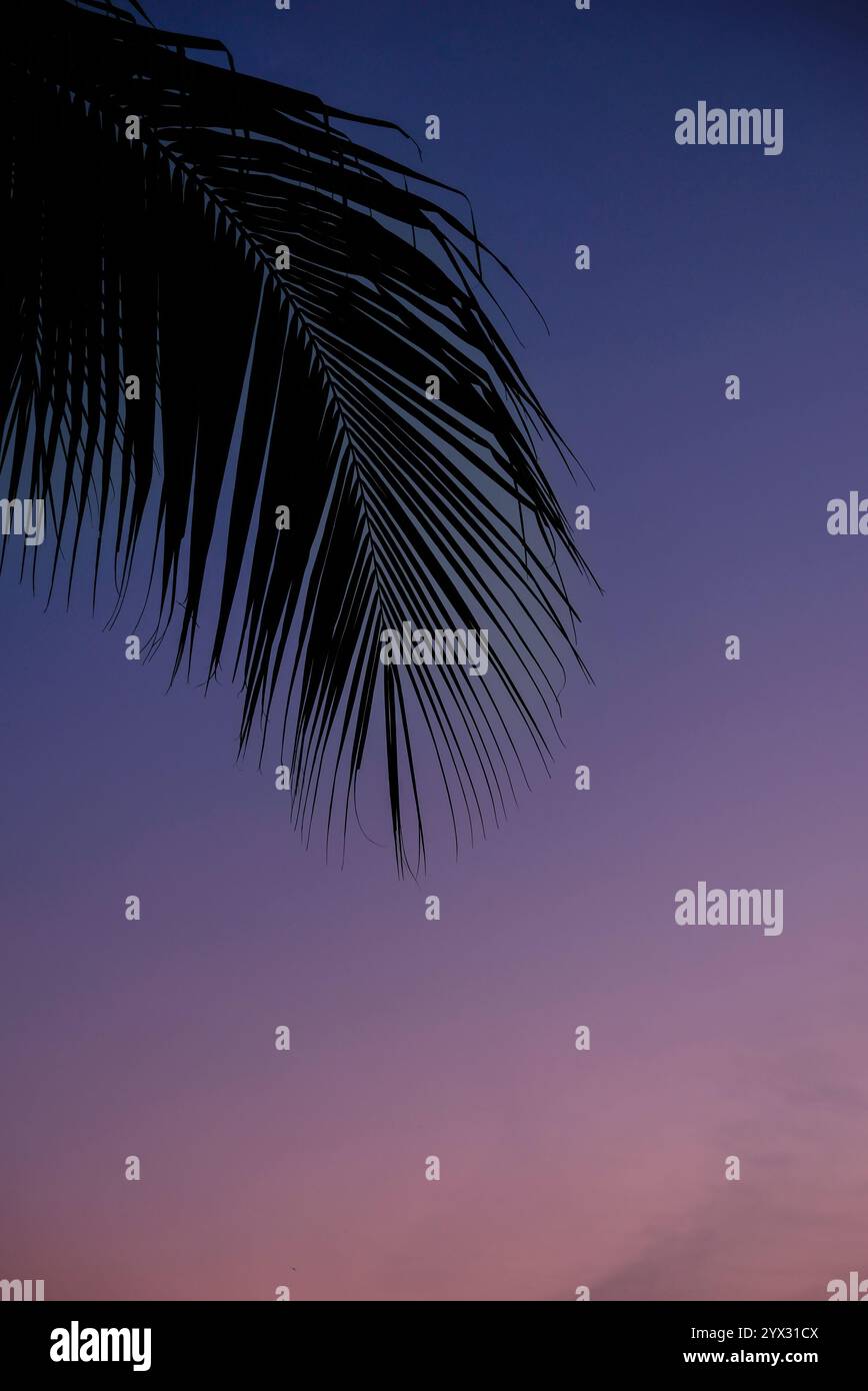 Beautiful scene red urban sunset hi-res stock photography and images ...