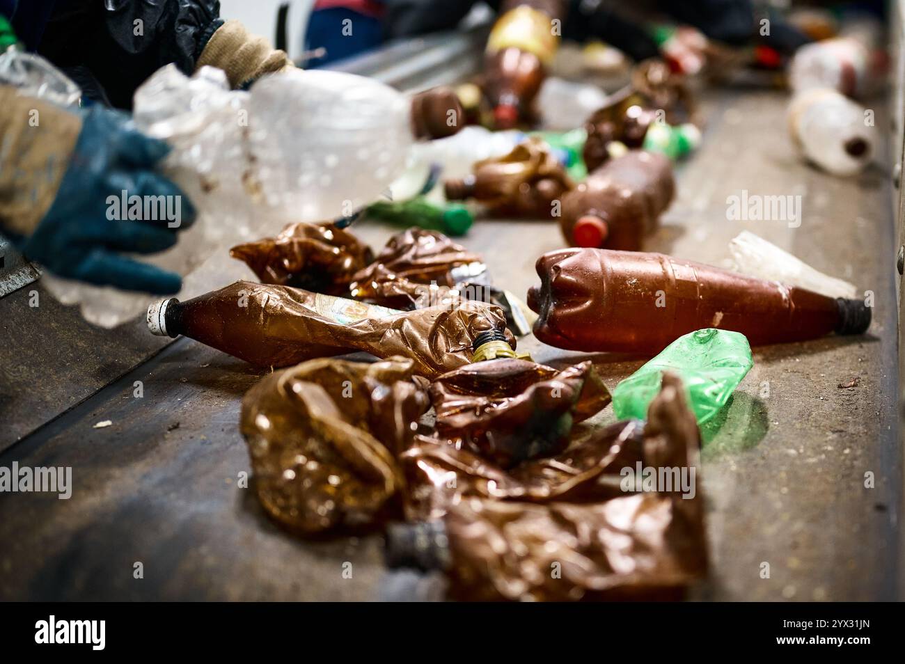 Worker sorts trash on conveyor belt at waste recycling plant Stock Photo - Alamy