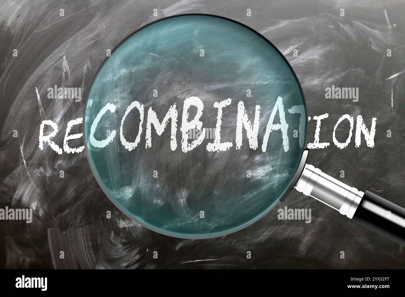 Recombination - learn, study and inspect it. Taking a closer look at ...