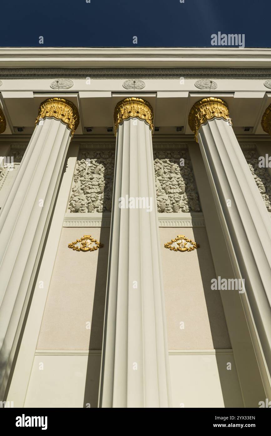 Tall, massive columns of a vintage, old building. Bottom-up view Stock ...