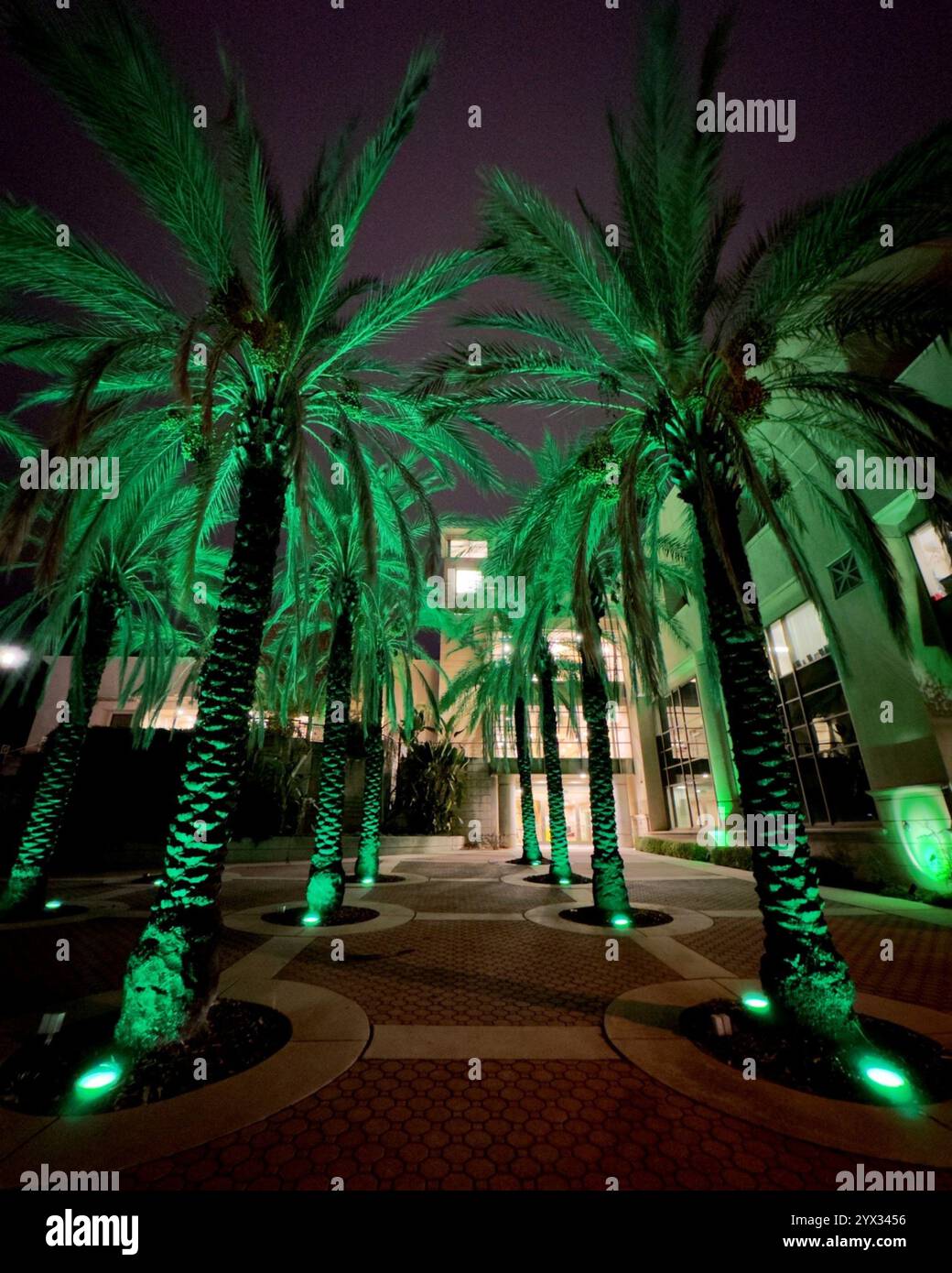 Dramatic lighting on trees and landscaping hi-res stock photography and ...