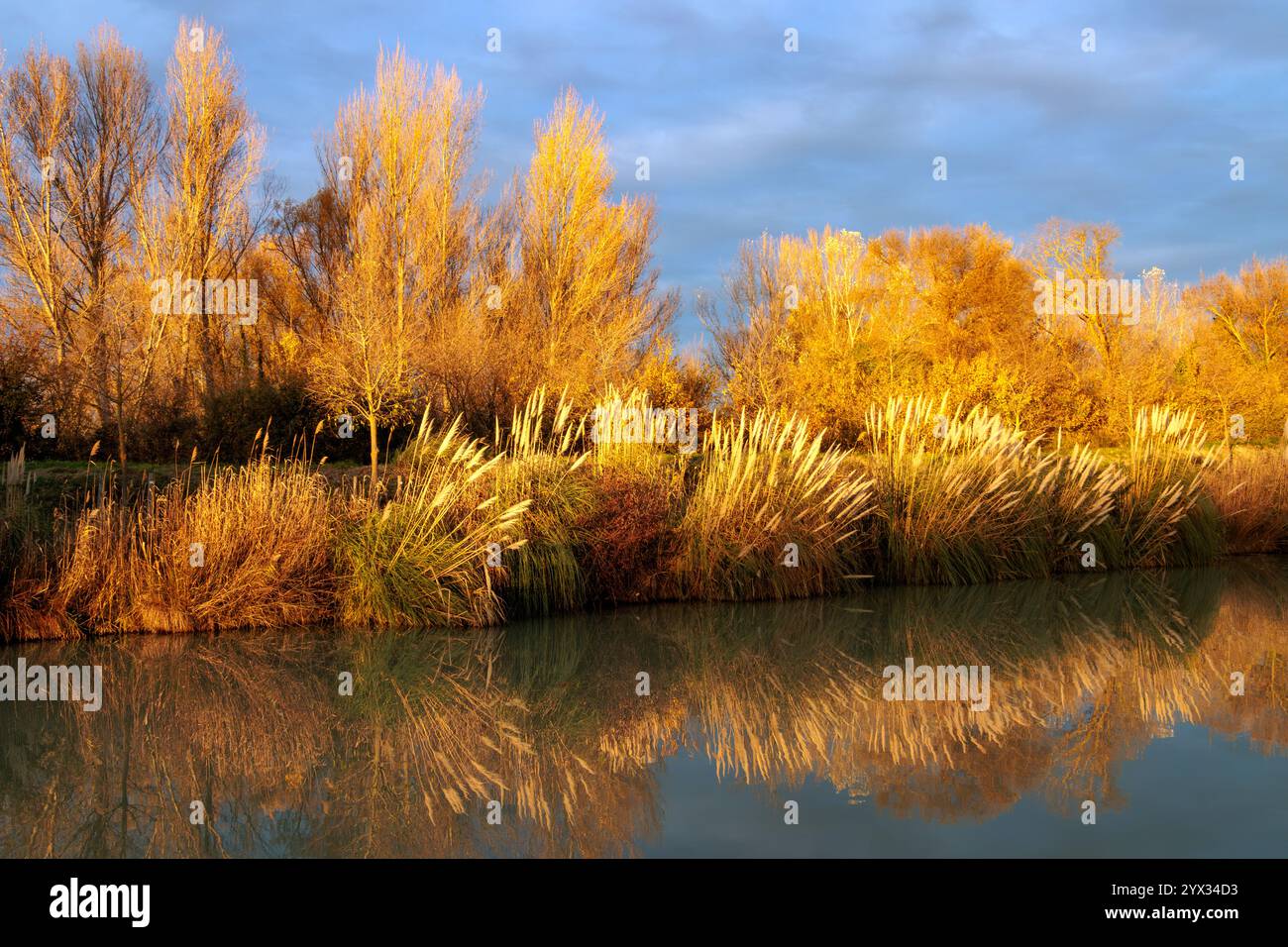 Autumn sunset on the Canal du Midi, Port of Colombiers. Occitanie ...