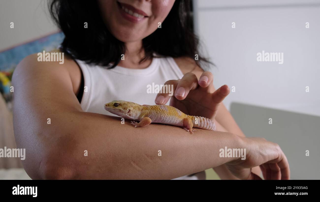 A yellow gecko perches on a human arm, blending curiosity and trust ...