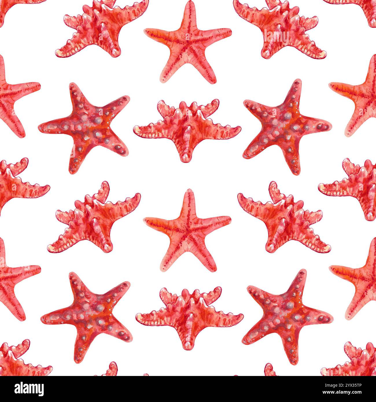 Pattern of starfish from the series sea creatures underwater world in ...