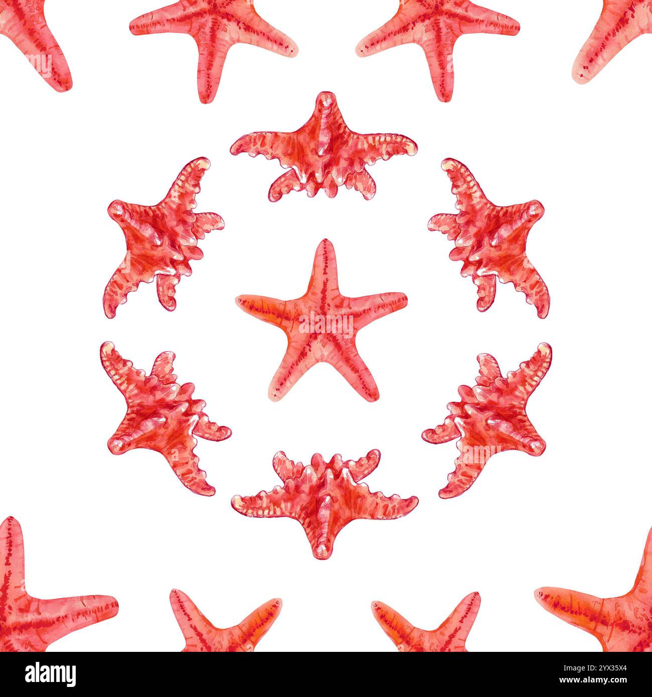 Pattern of starfish in a circle creatures underwater world in ...