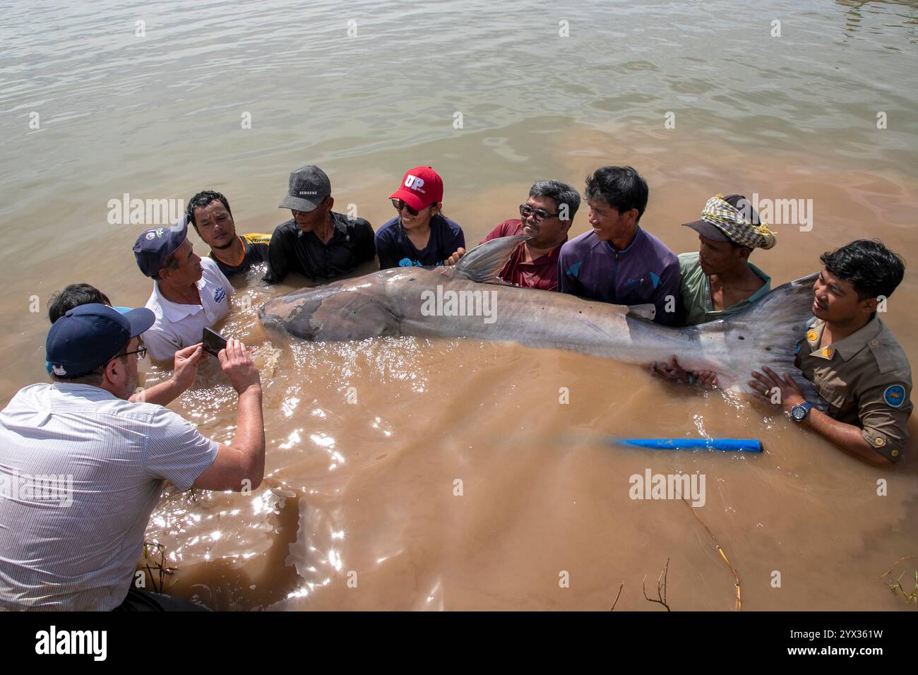 (241213) -- PHNOM PENH, Dec. 13, 2024 (Xinhua) -- Conservationists hold ...