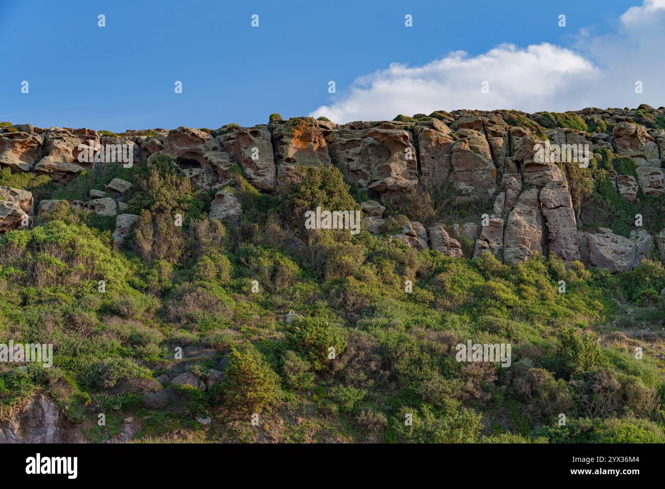 Rocks sticking out of a heavily overgrown hillside with a beautiful sky ...
