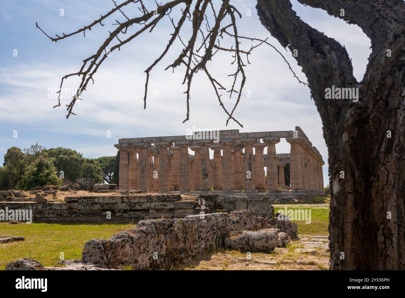 The First Temple of Hera, also known as Temple of Hera I and the ...