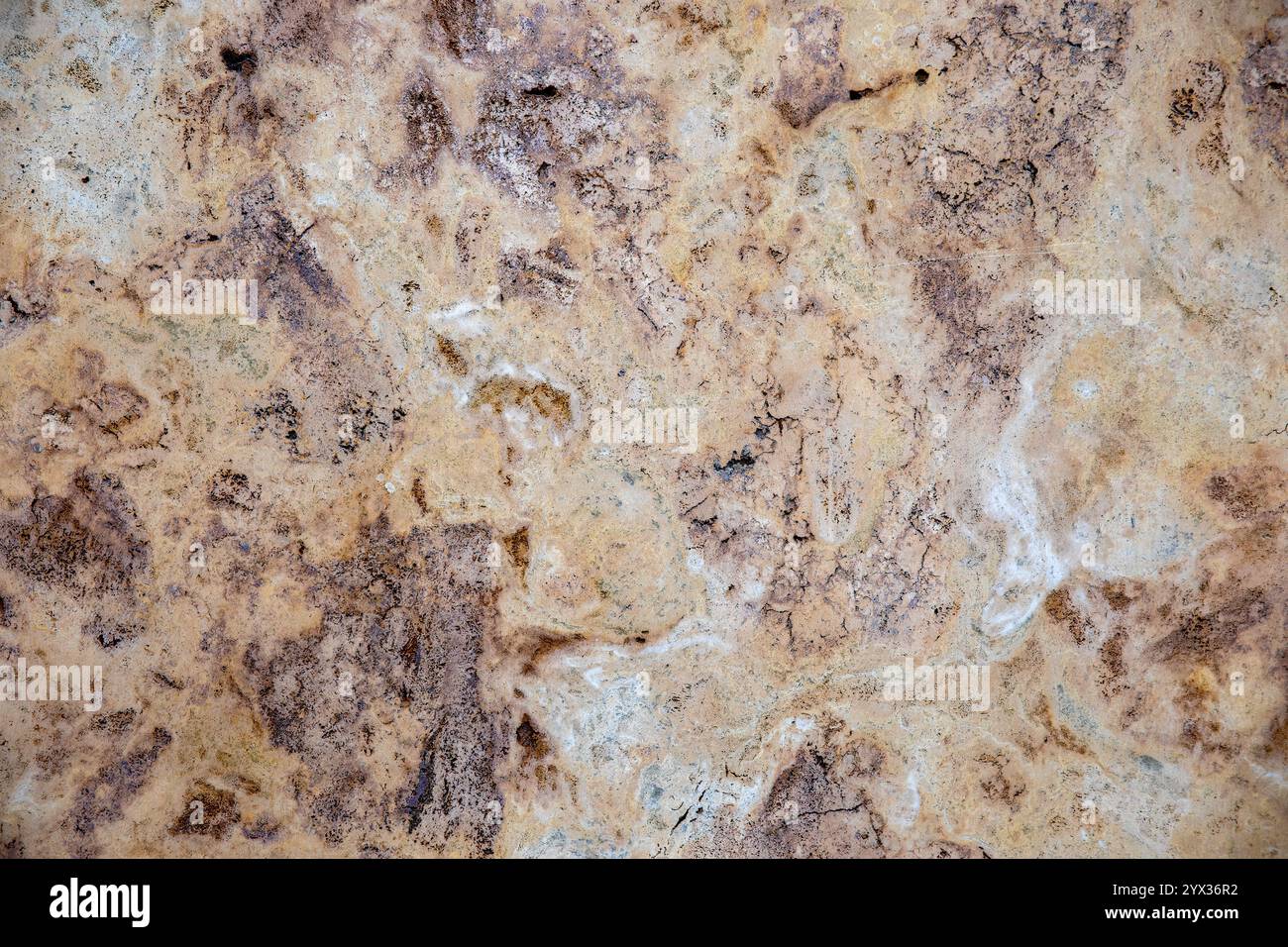 Travertine sedimentary rock hi-res stock photography and images - Alamy