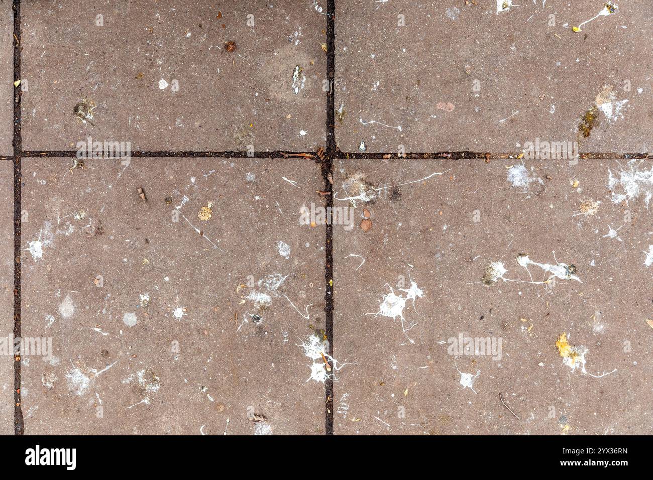 Grey Concrete Texture with Bird and Pigeon Droppings - Urban Grunge ...