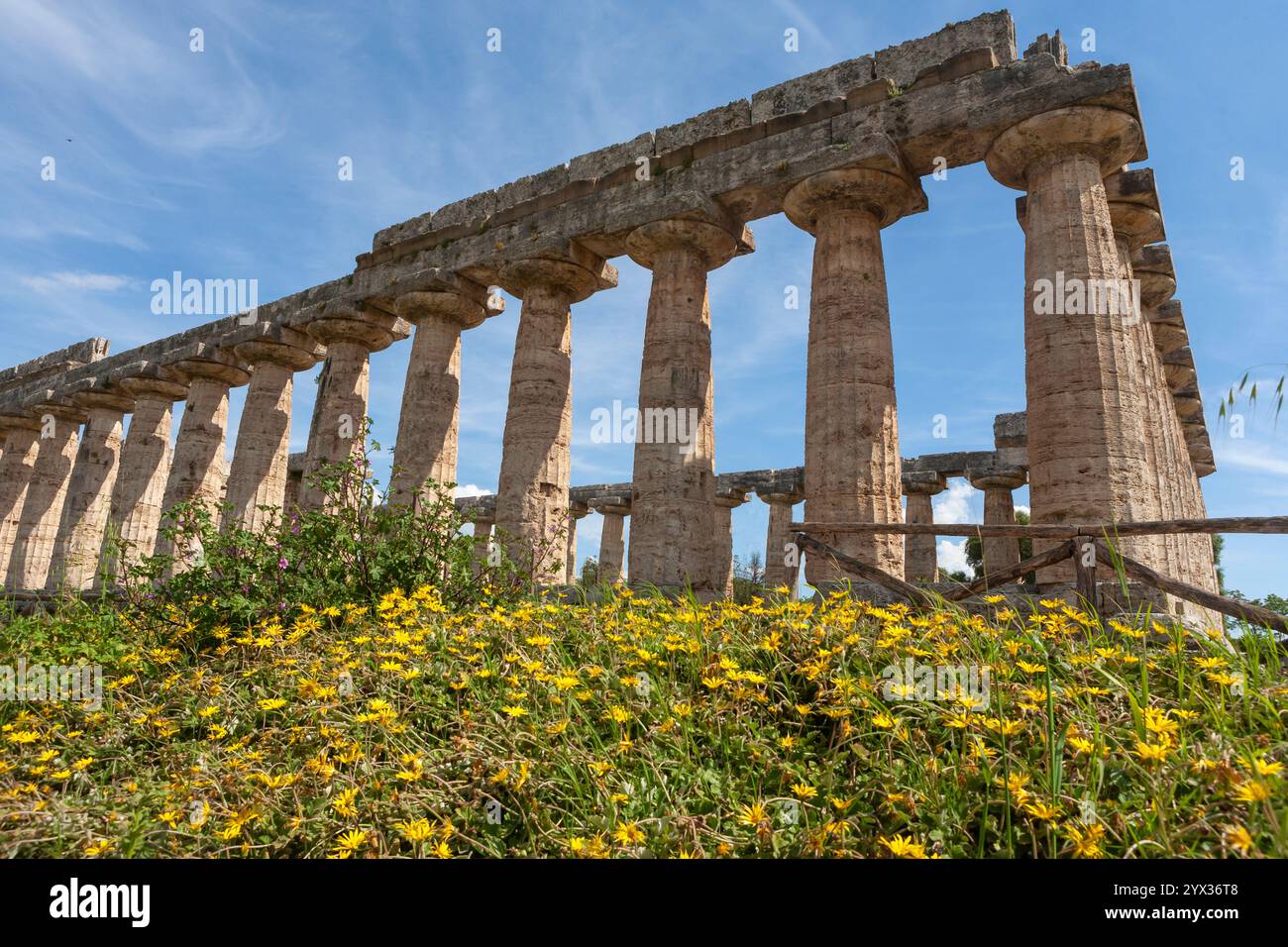 The First Temple of Hera, also known as Temple of Hera I and the ...
