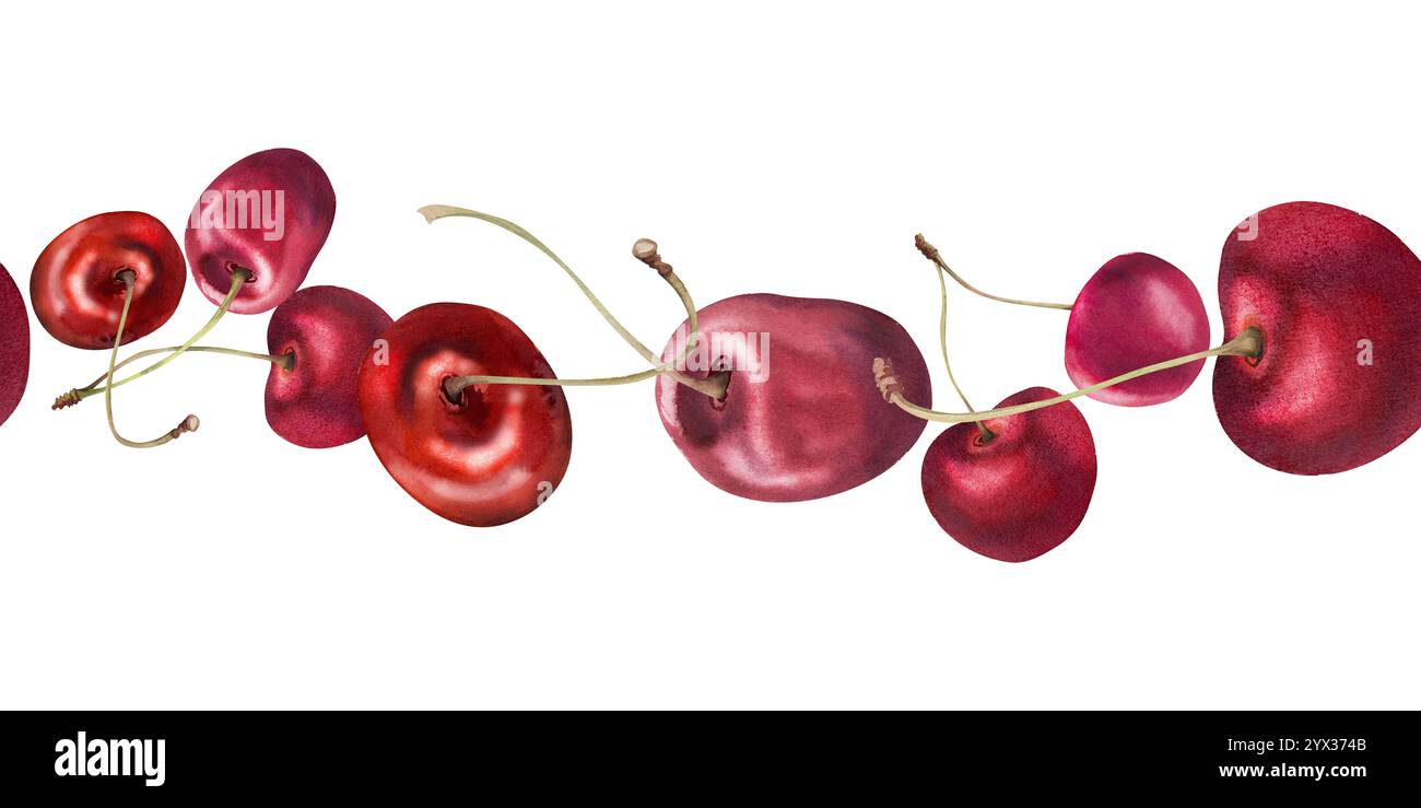Sweet sour red cherry berries on stems, hand drawn in watercolor ...
