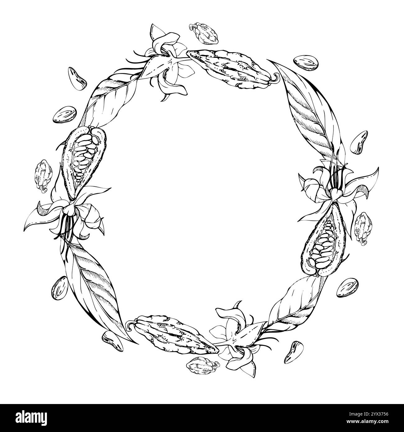 Coffee cocoa cacao beans, flowers, leaves seed pods, stylized tree ...