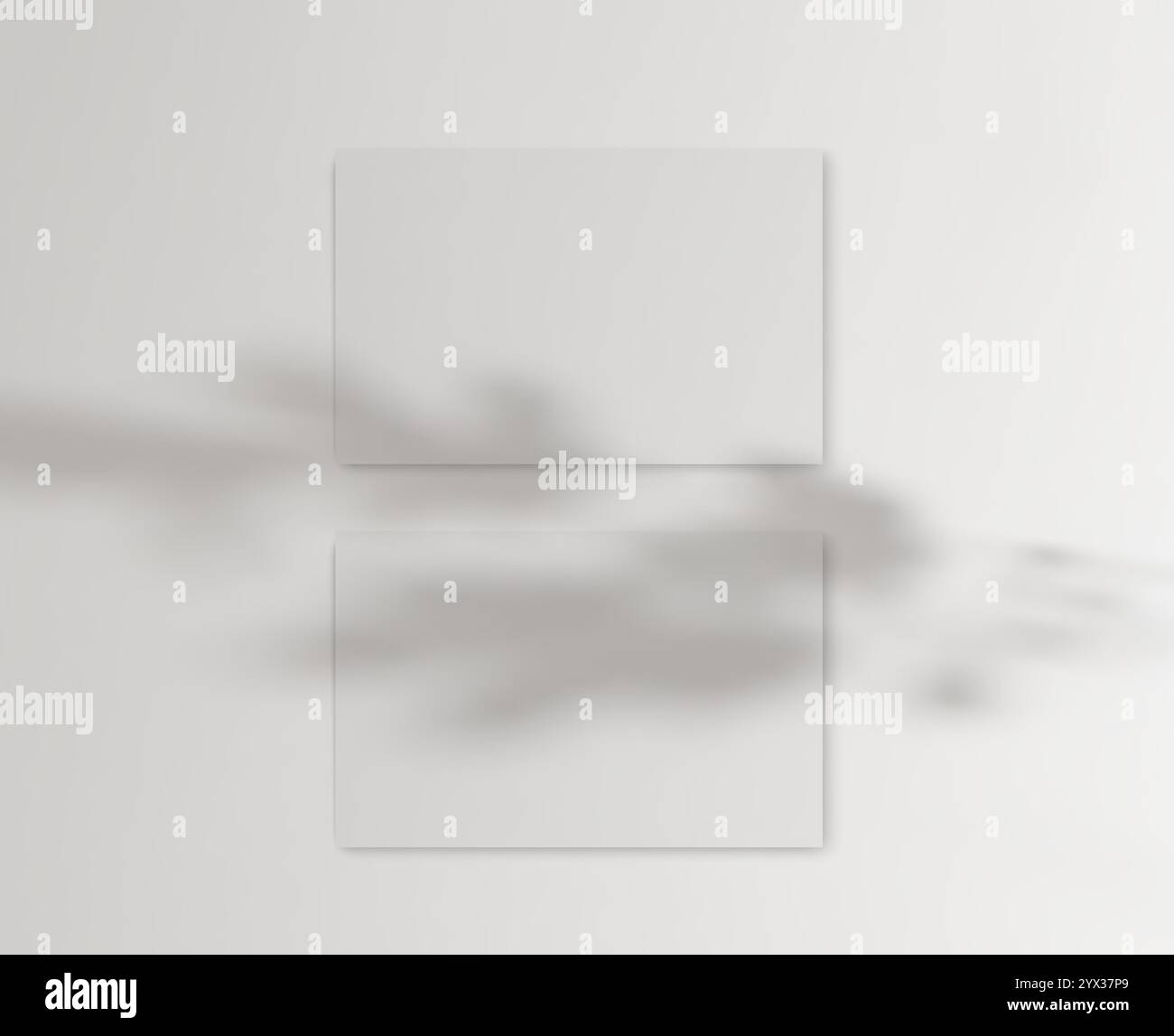 Business card mockup with shadow overlay effect. Vector leaves shadow ...