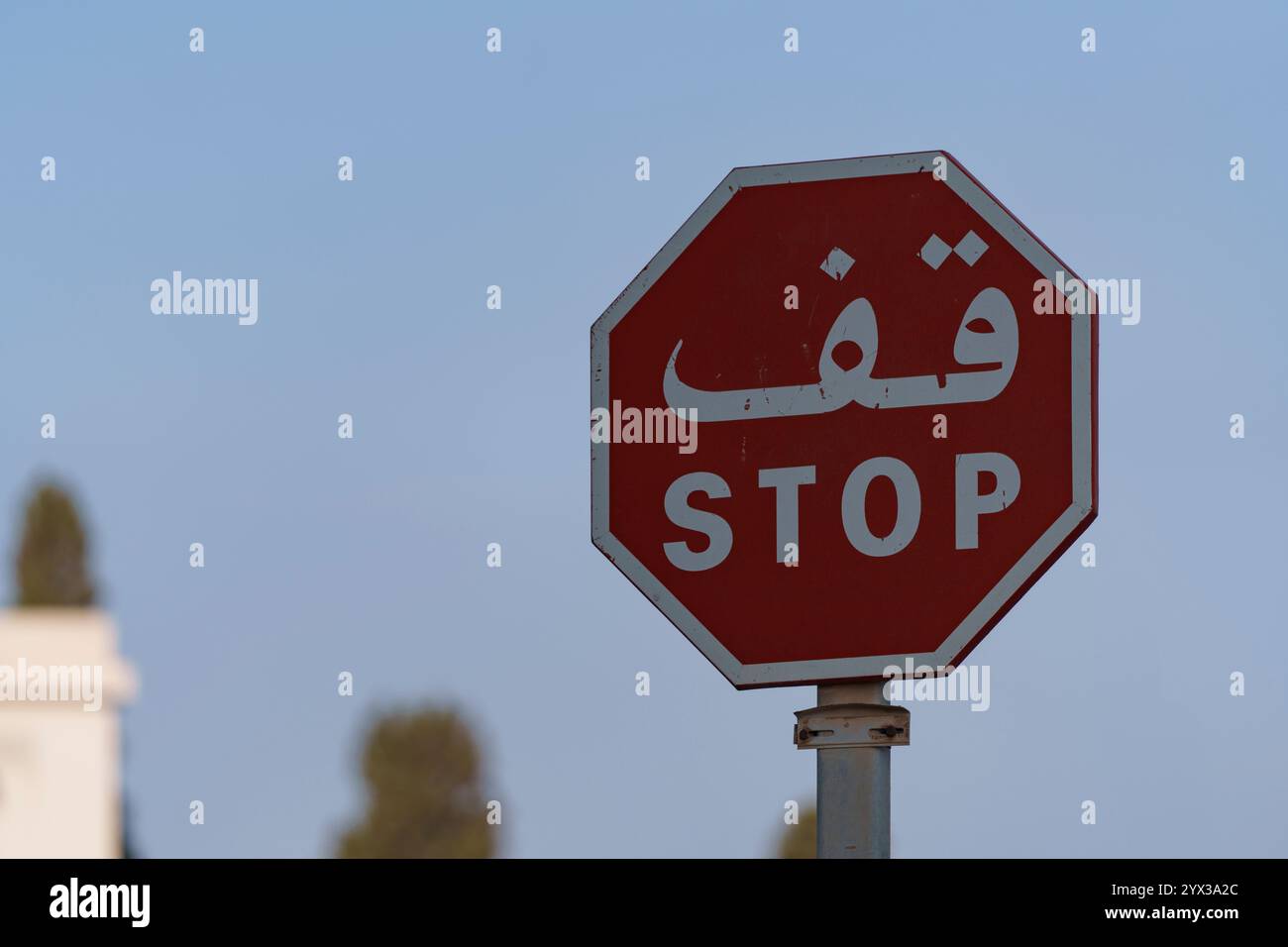 STOP road sign, in Arabic, on a blurred background Stock Photo - Alamy
