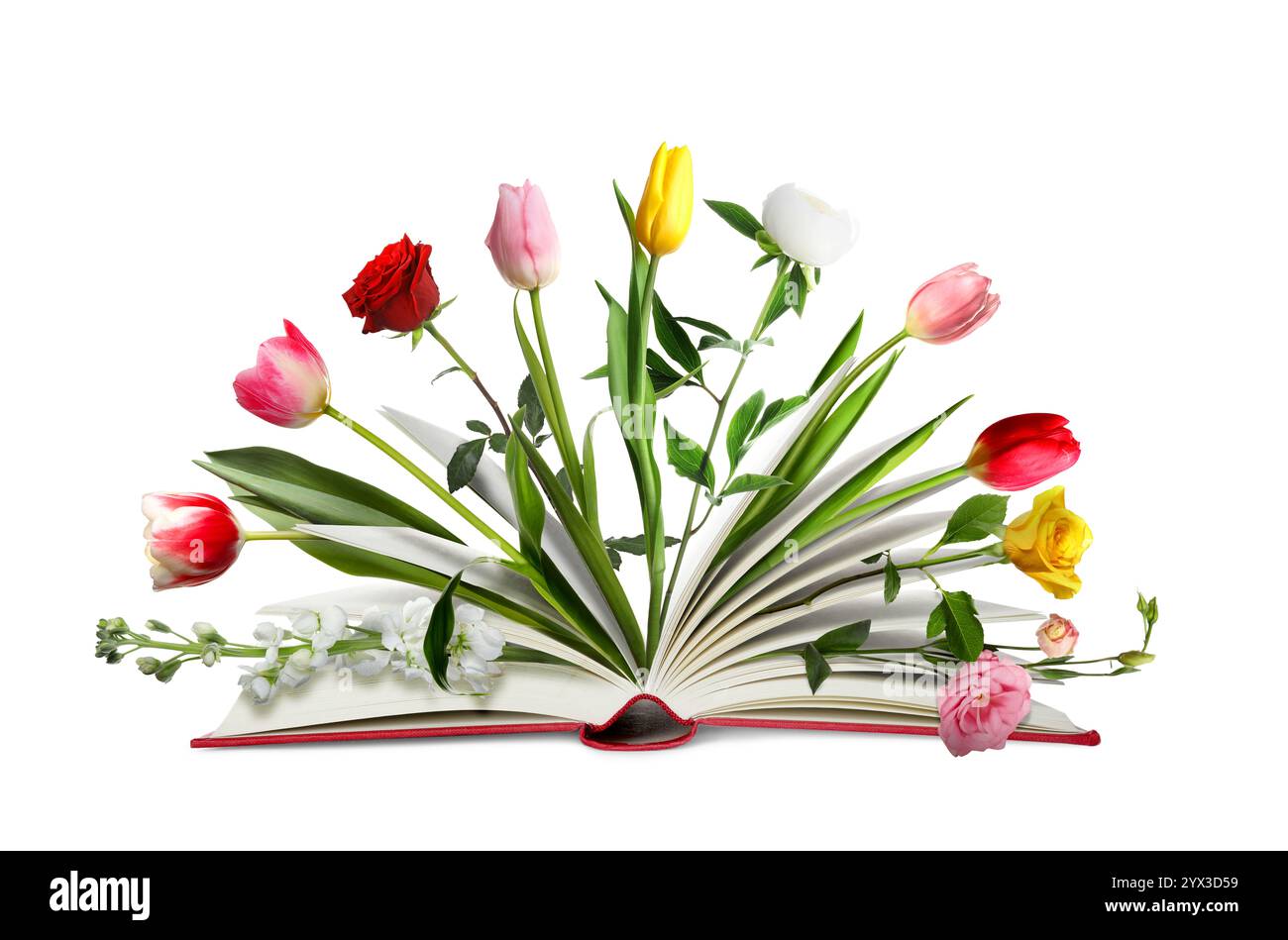 Open book with beautiful flowers between pages on white background ...
