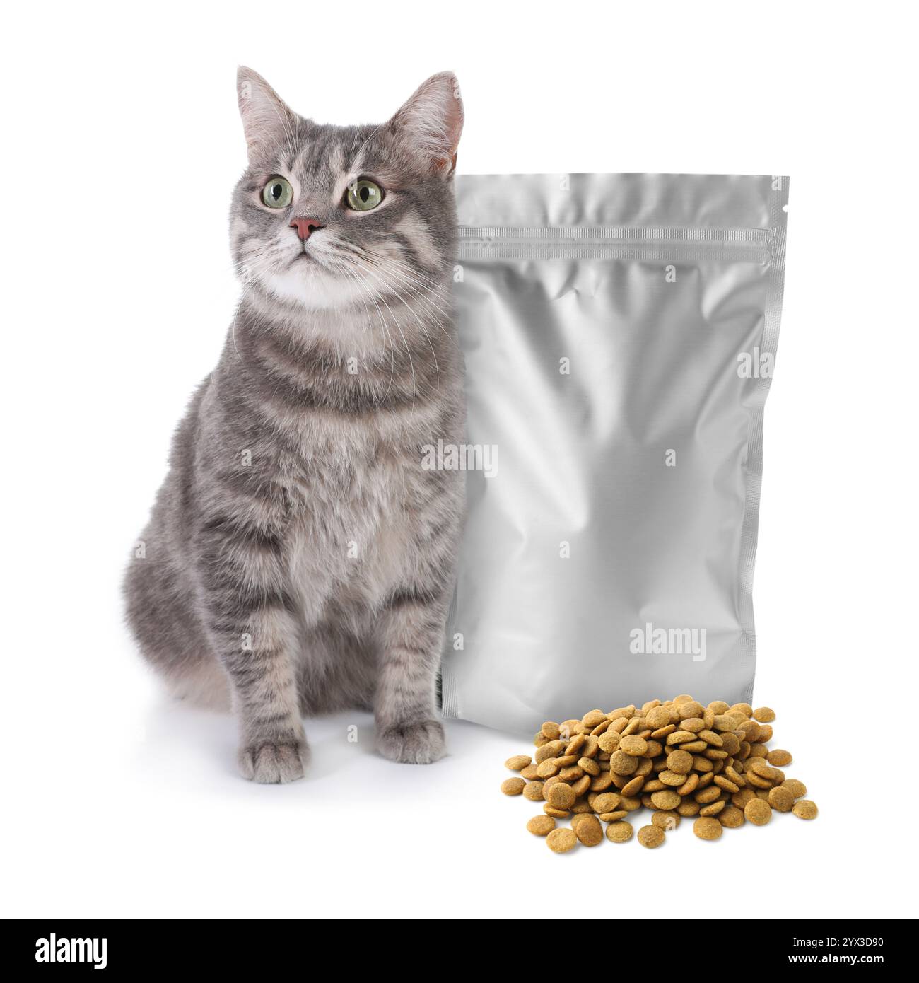 Cute cat sitting near foil package and heap of dry pet food on white ...