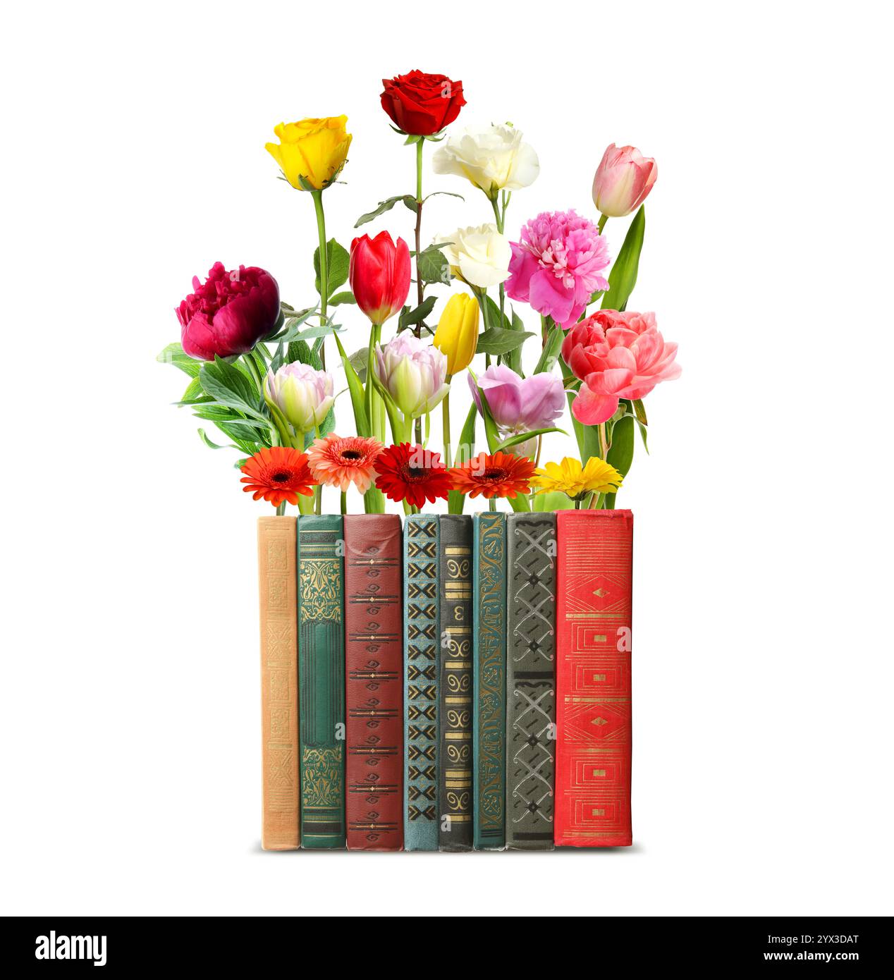 Closed books with beautiful flowers between pages on white background ...