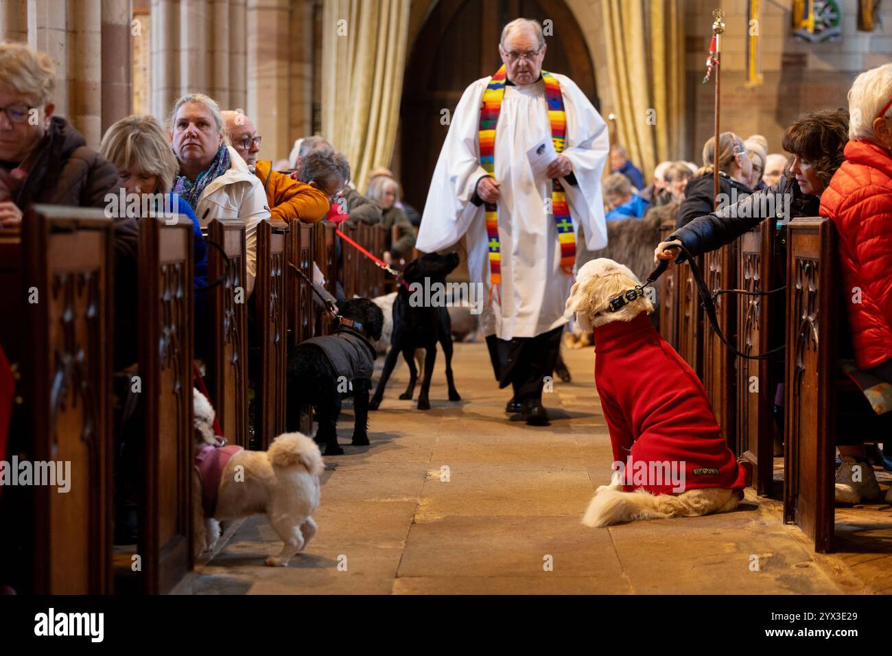 09/12/24 Dozens of dogs - many dressed in their finest festive costumes ...