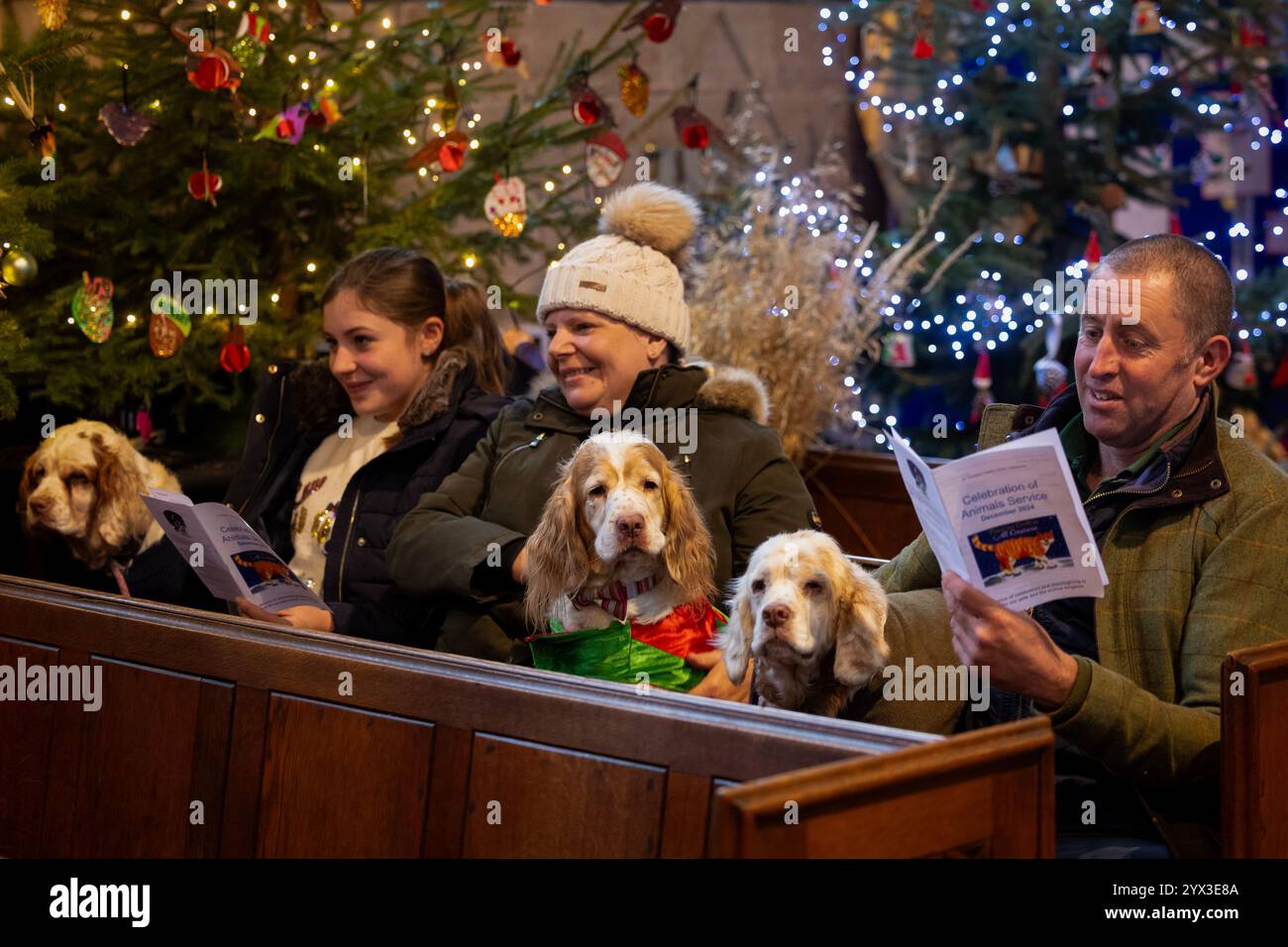 09/12/24 Dozens of dogs - many dressed in their finest festive costumes ...