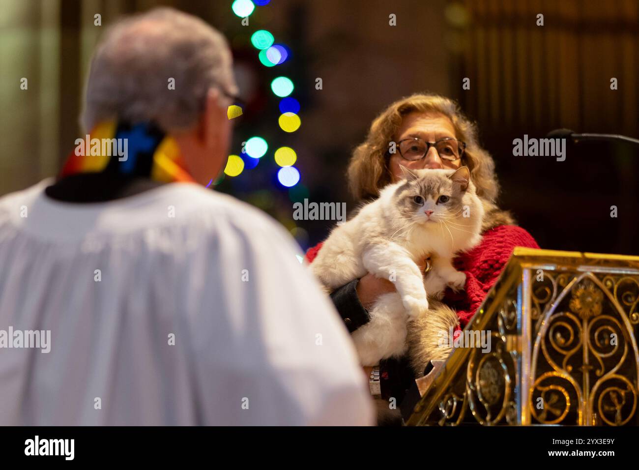 09/12/24 Dozens of dogs - many dressed in their finest festive costumes ...