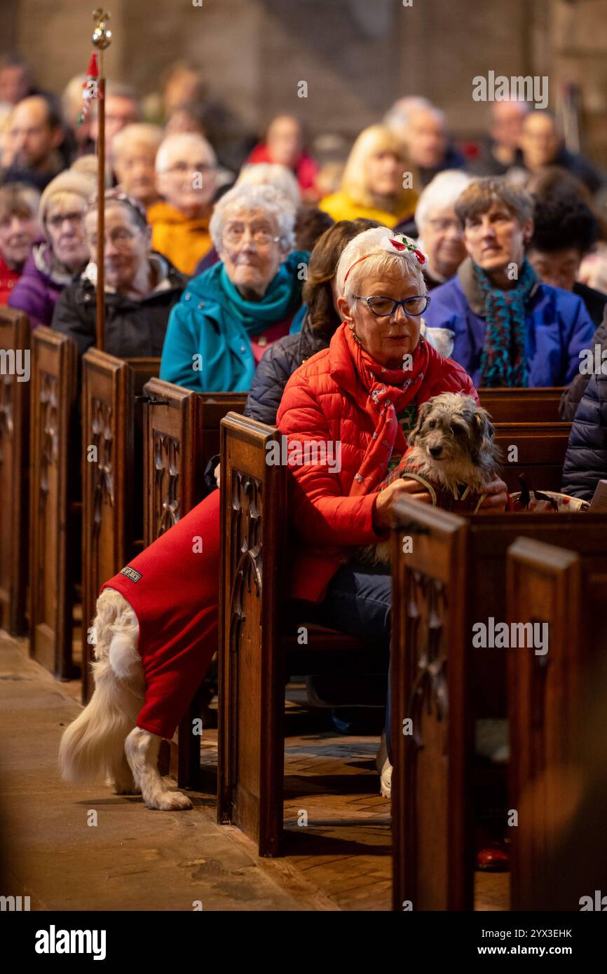 09/12/24 Dozens of dogs - many dressed in their finest festive costumes ...