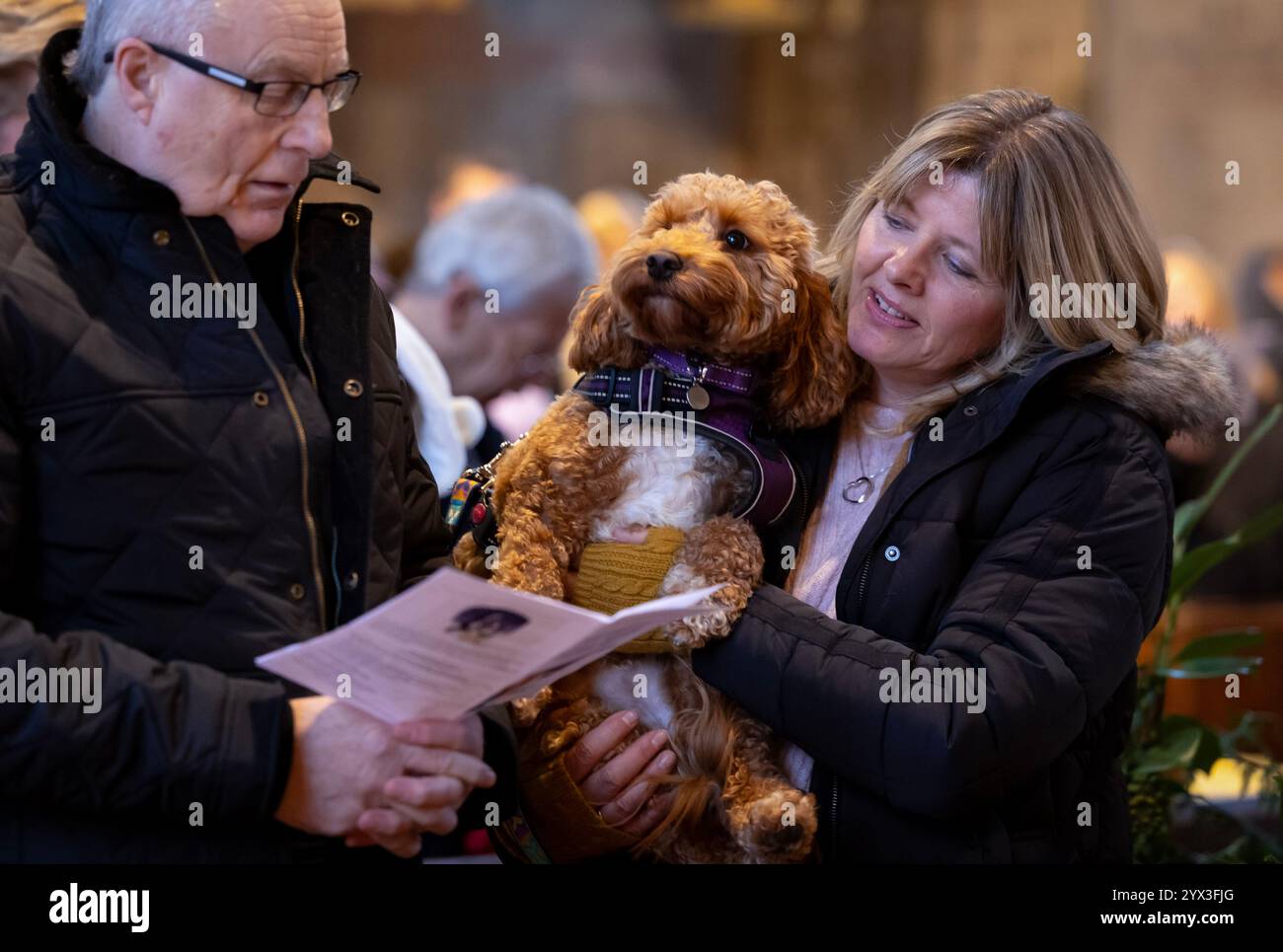 09/12/24 Dozens of dogs - many dressed in their finest festive costumes ...