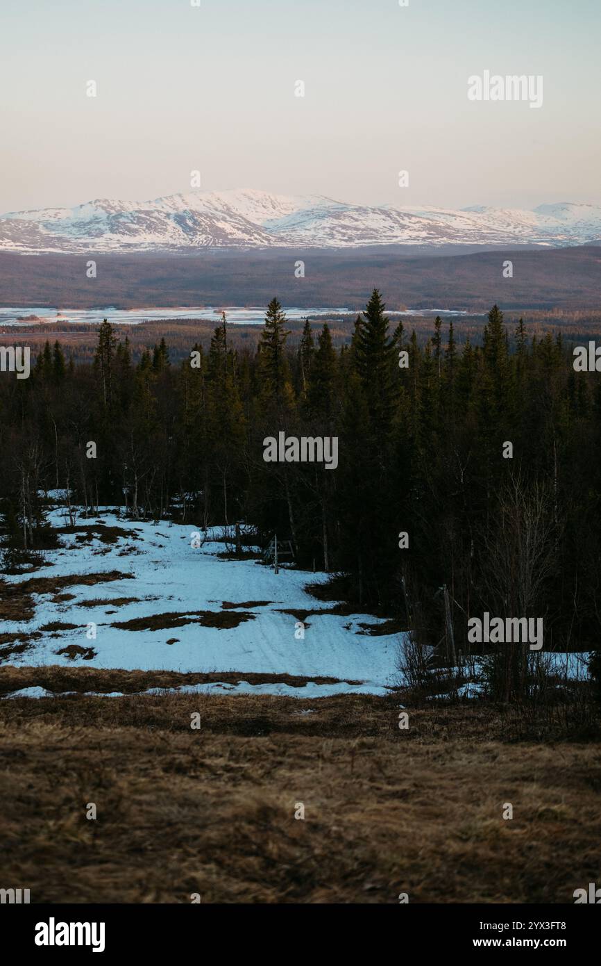 Serene view snowy mountains pine hi-res stock photography and images ...