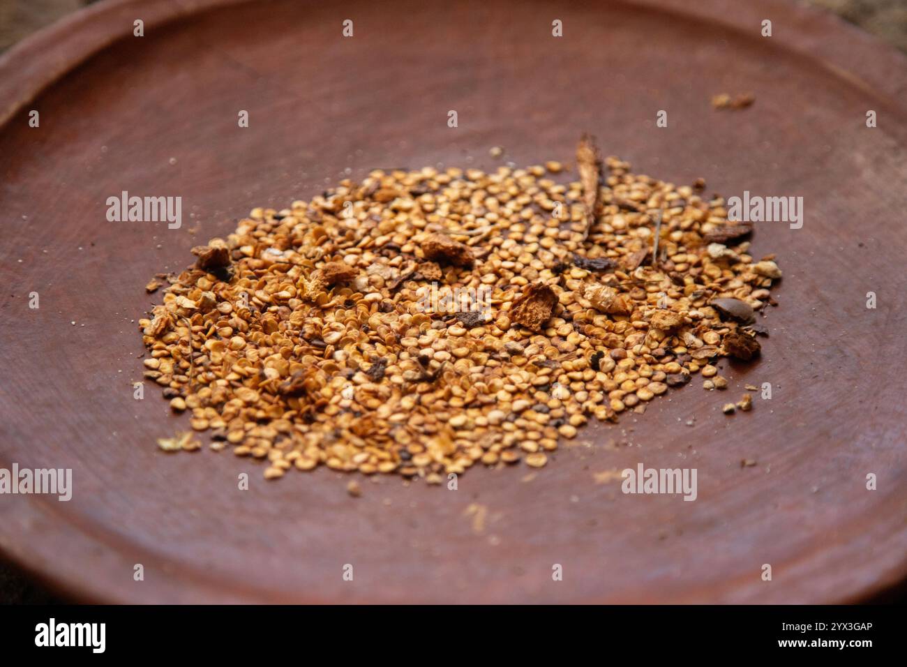 Local chili seeds from Oaxaca. The seeds are roasted and grinded with a ...