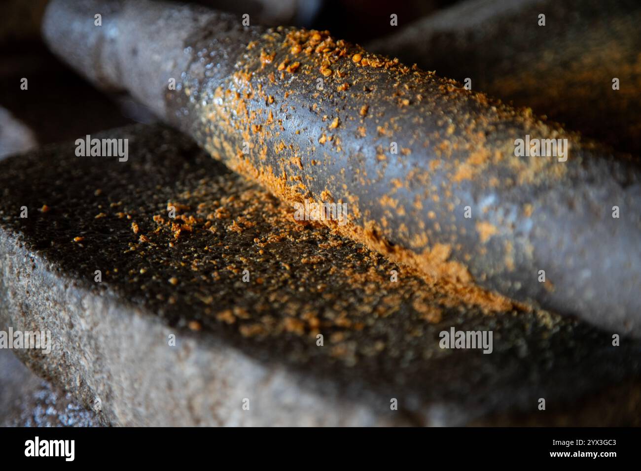 Local chili seeds from Oaxaca. The seeds are roasted and grinded with a ...