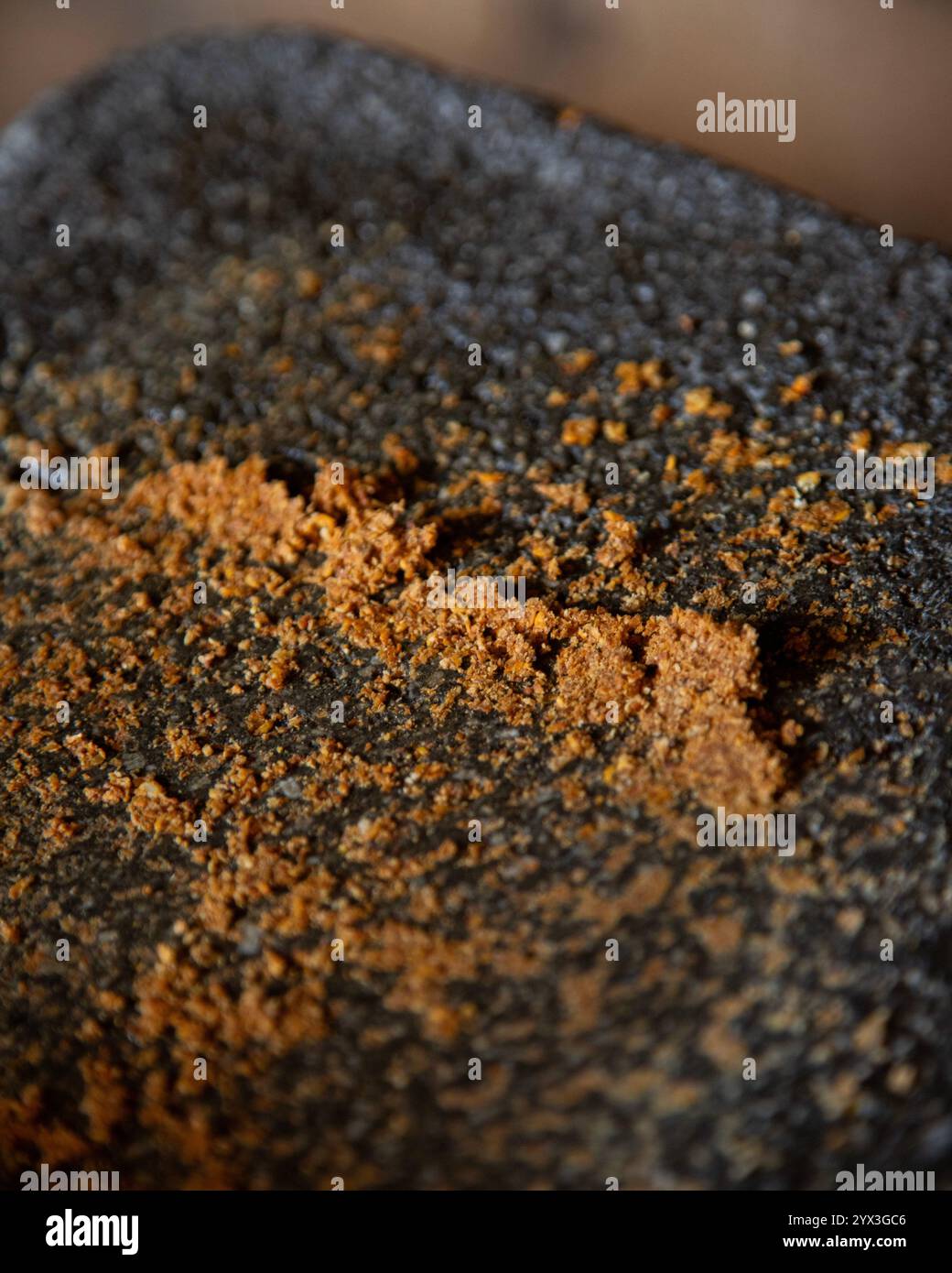 Local chili seeds from Oaxaca. The seeds are roasted and grinded with a ...