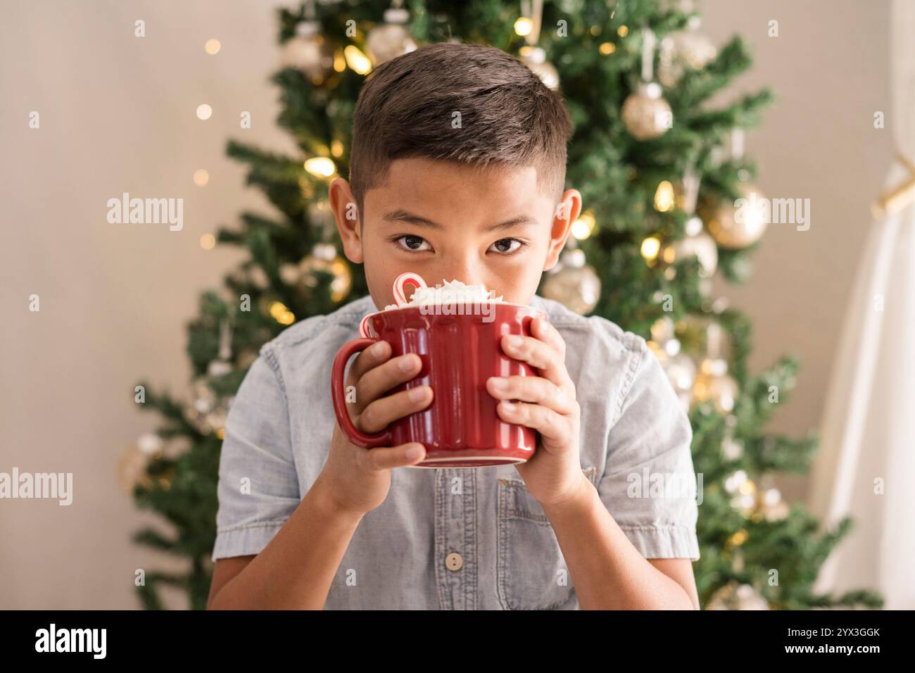 Boy drinking hot chocolate in front of christmas tree Stock Photo - Alamy