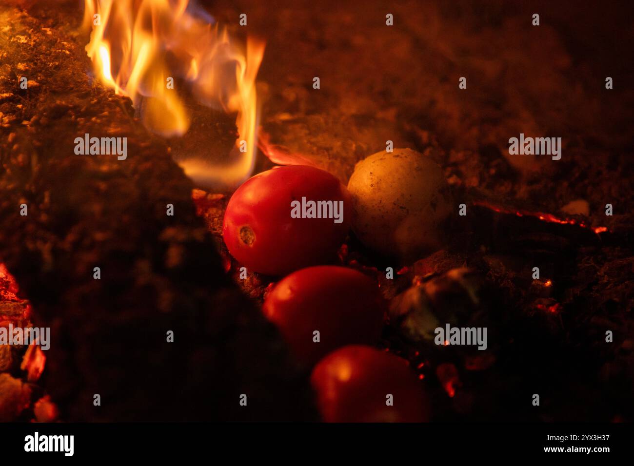 Tomatoes roasted on a Mexican comal to prepare a red mole in the Oaxaca ...