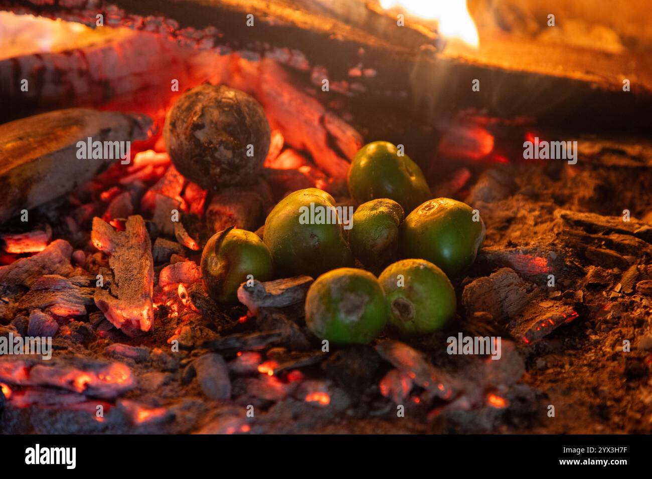 Tomatoes roasted on a Mexican comal to prepare a red mole in the Oaxaca ...