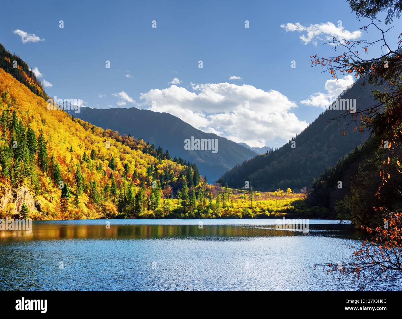 Beautiful view of the Panda Lake among colorful fall woods Stock Photo ...